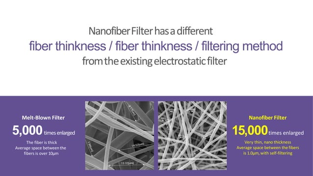 Air Queen NanoFiber Filter Mask | PPT