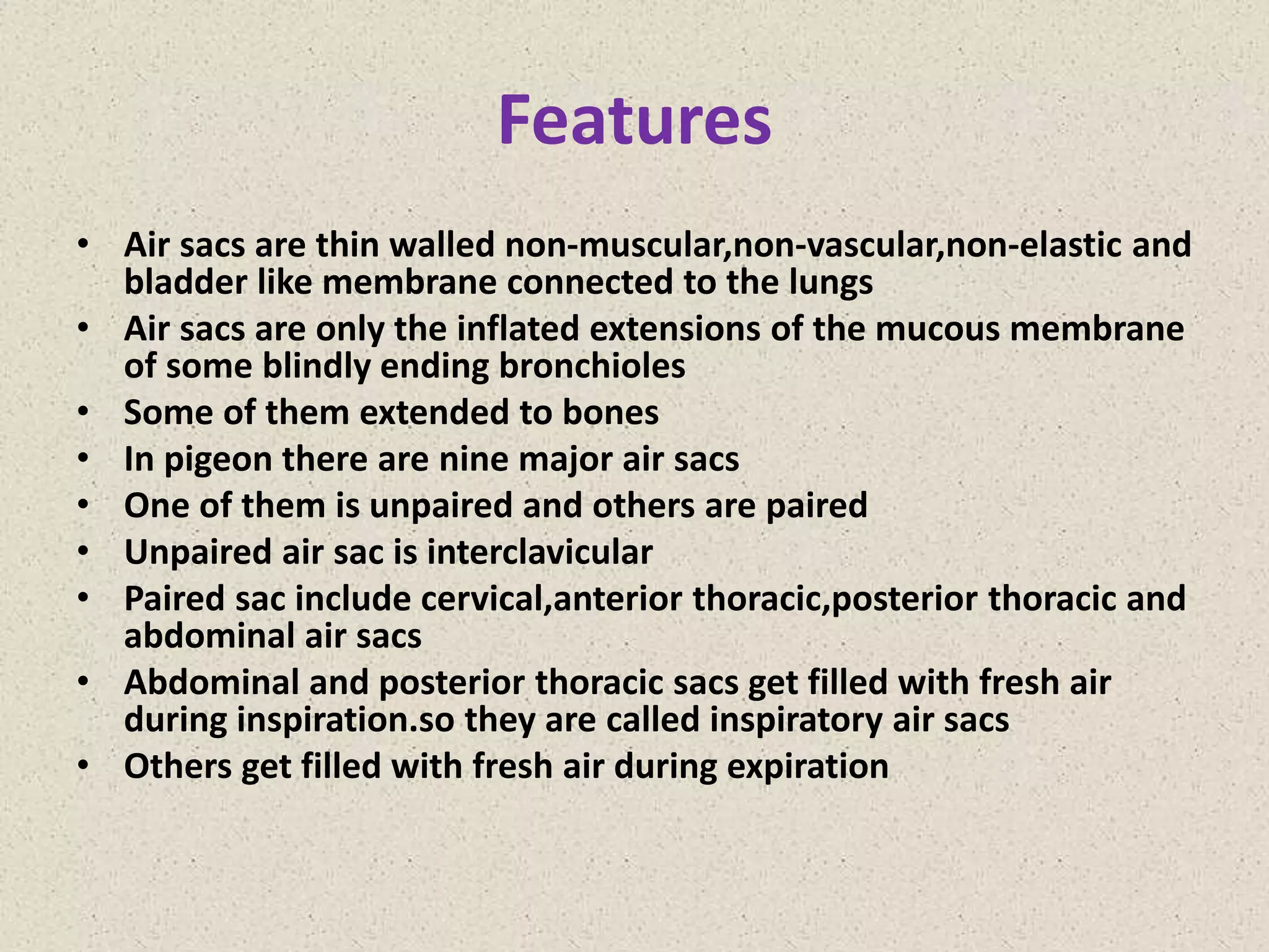 Air sacs of bird(blue rock pigeon) | PPTX