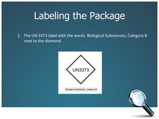 BestCare Laboratory Packing and Transporation | PPT