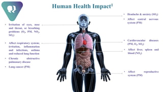 Causes, Effects & Solutions to Air Pollution | PPT