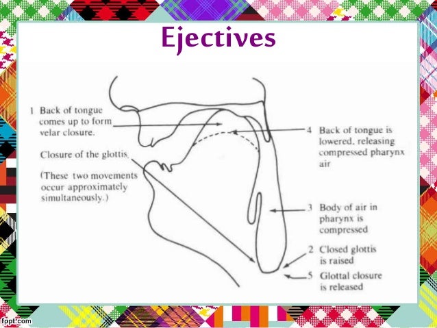 Airstream mechanism Phonetics and Phonology