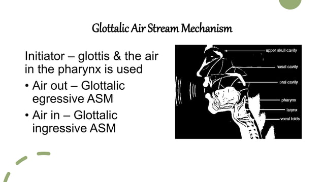 Air Stream Mechanism | PPTX