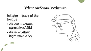 Air Stream Mechanism | PPTX