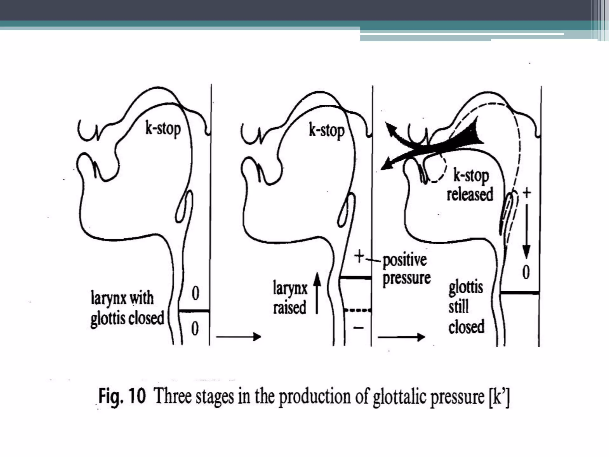 airstream mechanism.pptx