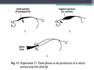 airstream mechanism.pptx