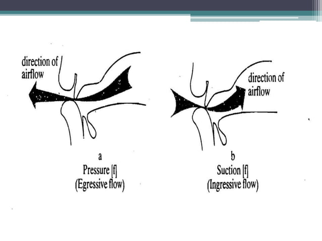 airstream mechanism.pptx