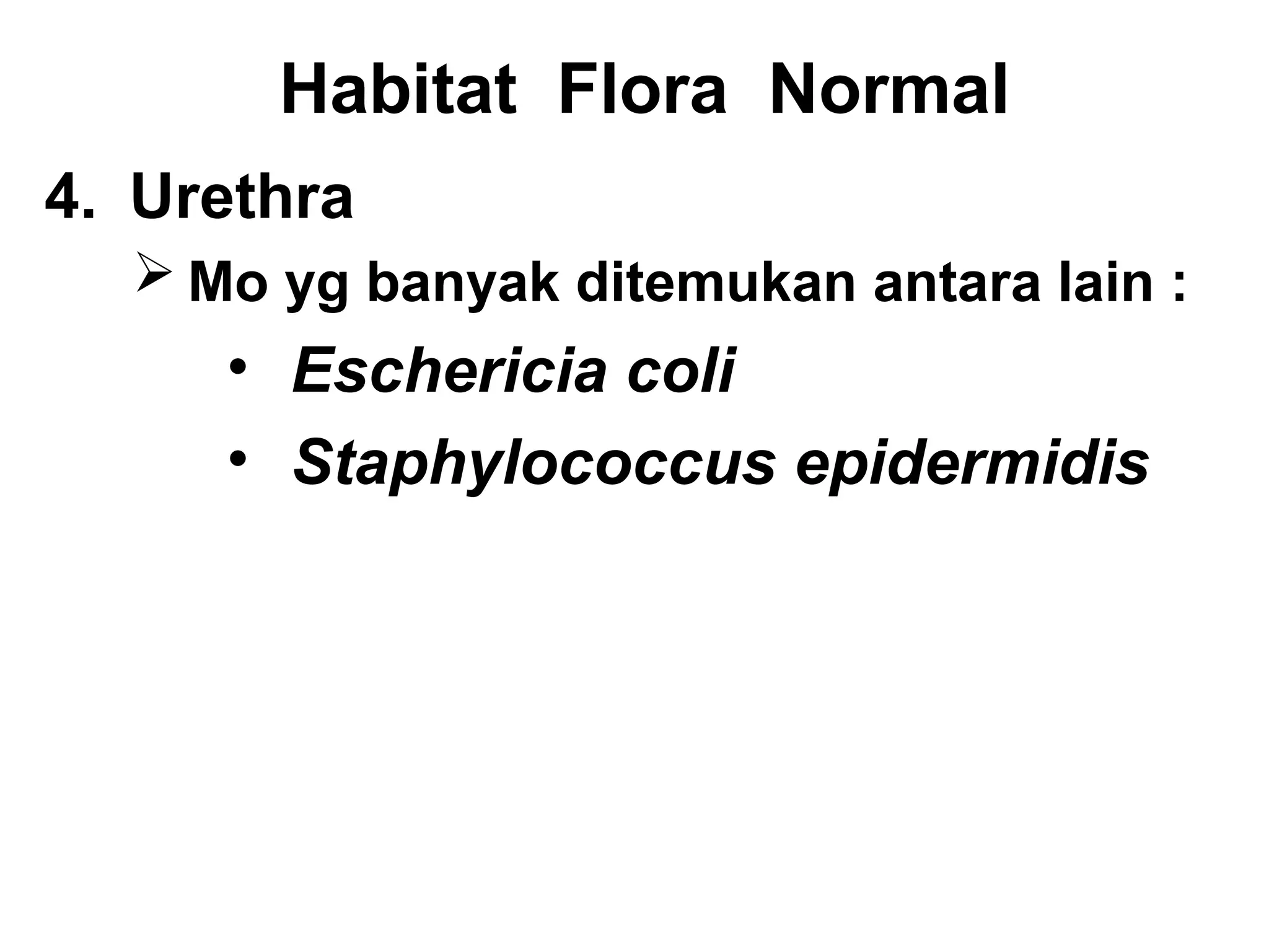 materi mikroorganisme air,tanah,udara,flora normal | PPT