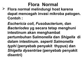 materi mikroorganisme air,tanah,udara,flora normal | PPT