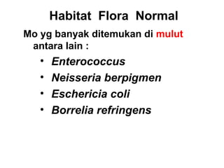 materi mikroorganisme air,tanah,udara,flora normal | PPT