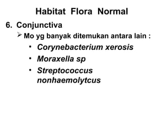 materi mikroorganisme air,tanah,udara,flora normal | PPT