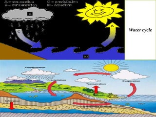 Air,water and weather | PPTX