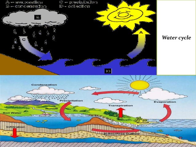 Air,water and weather | PPTX | Weather | Science