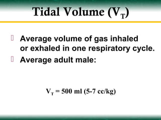 Airway | PPT