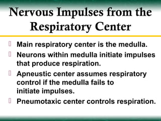 Airway | PPT