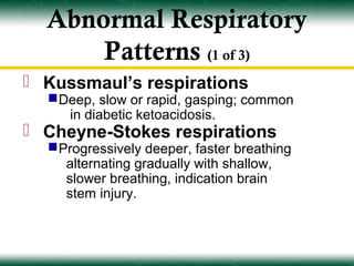 Airway | PPT