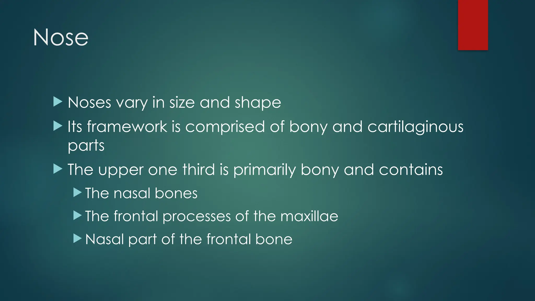 Airway , both upper and lower respiratory tract | PPTX