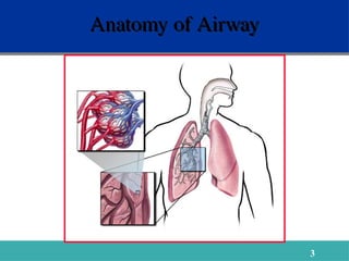 Airway introduction and management in icu.pptx