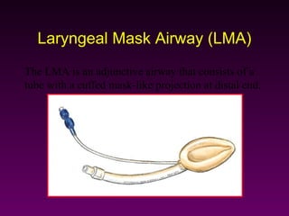 Airway adjuncts and management in ACLS | PPT