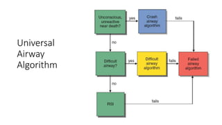 AIRWAY ALGORITHM.pptx