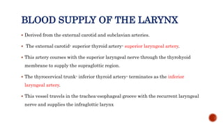 Airway anatomy | PPTX