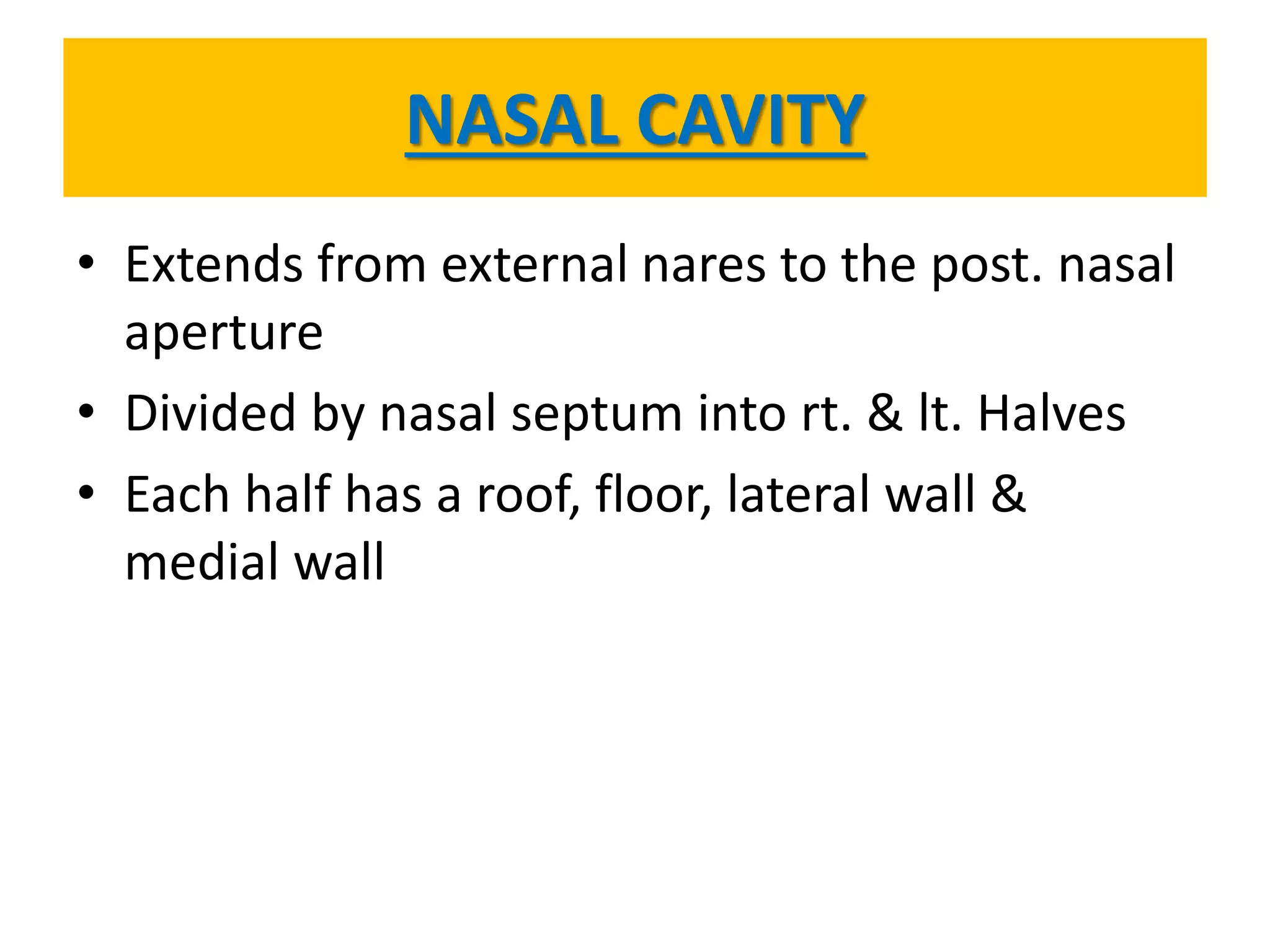 Airway anatomy its assessment and anaesthetic implication | PPTX