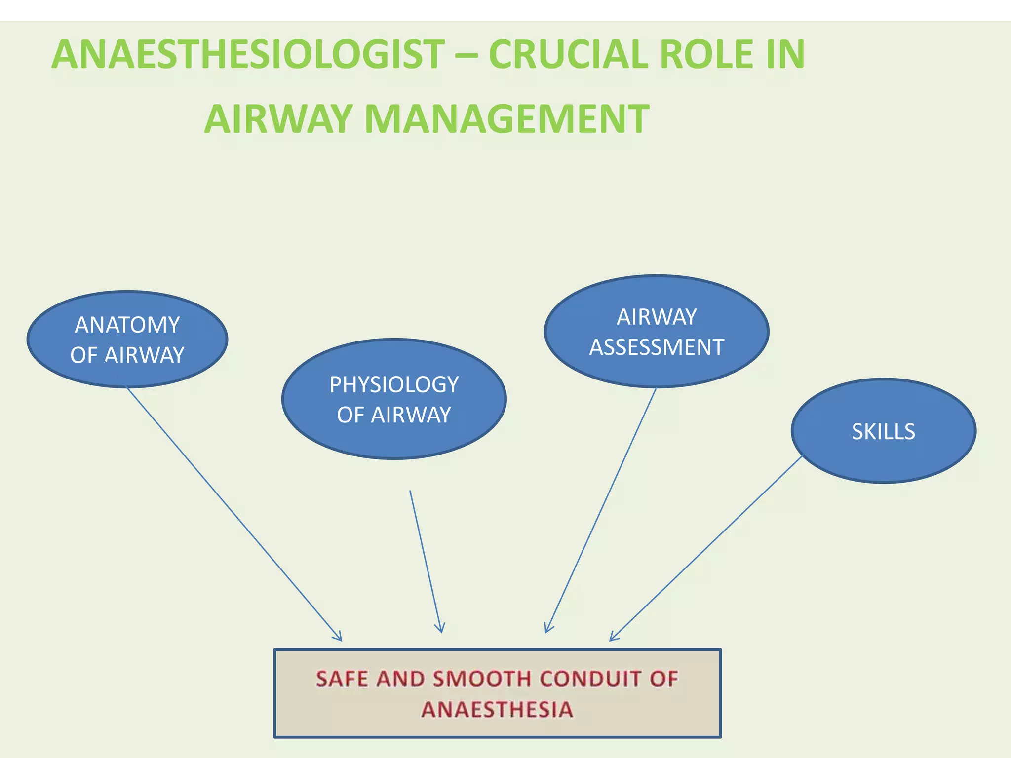 Airway anatomy its assessment and anaesthetic implication | PPTX