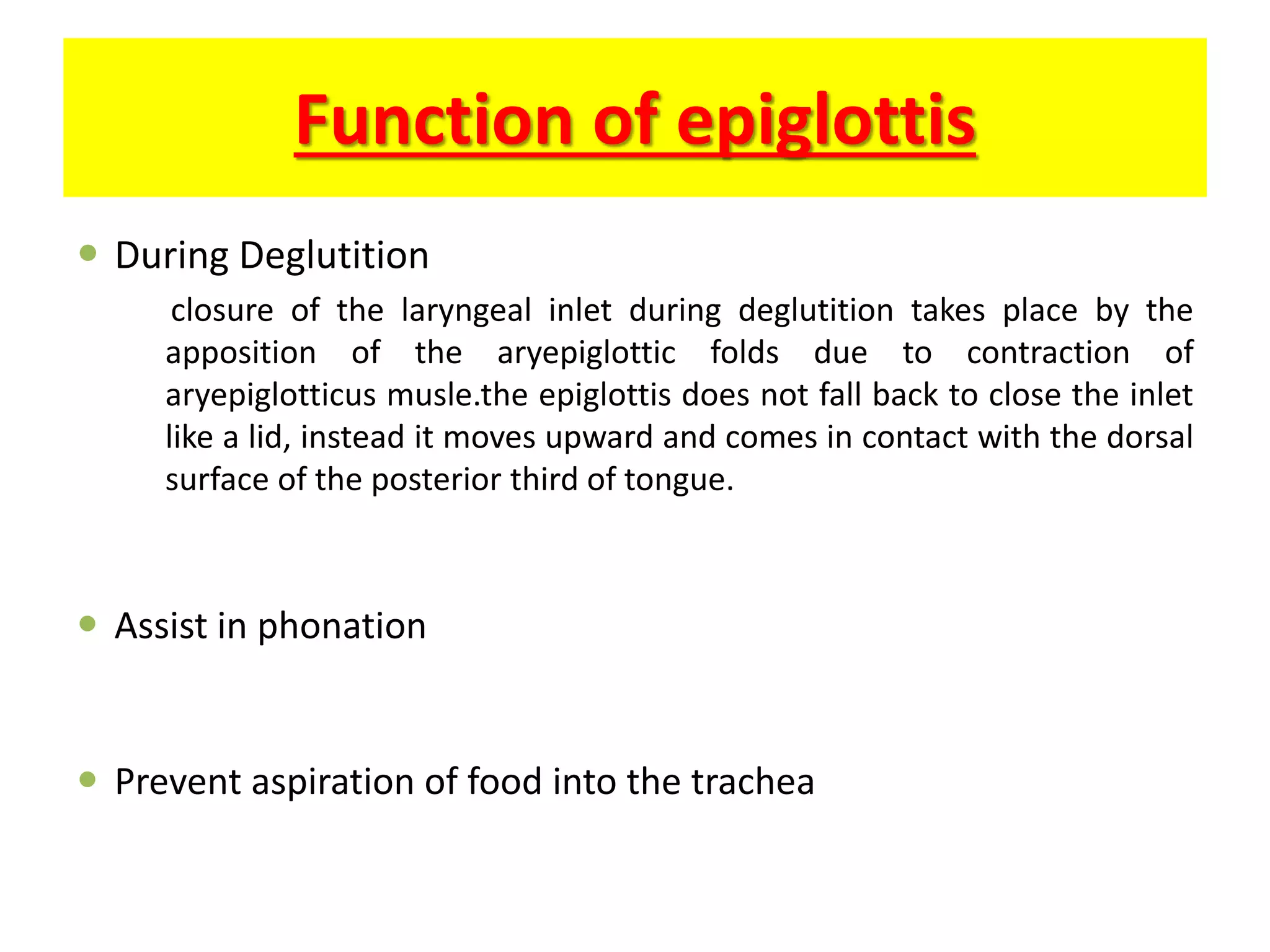 Airway anatomy its assessment and anaesthetic implication | PPTX