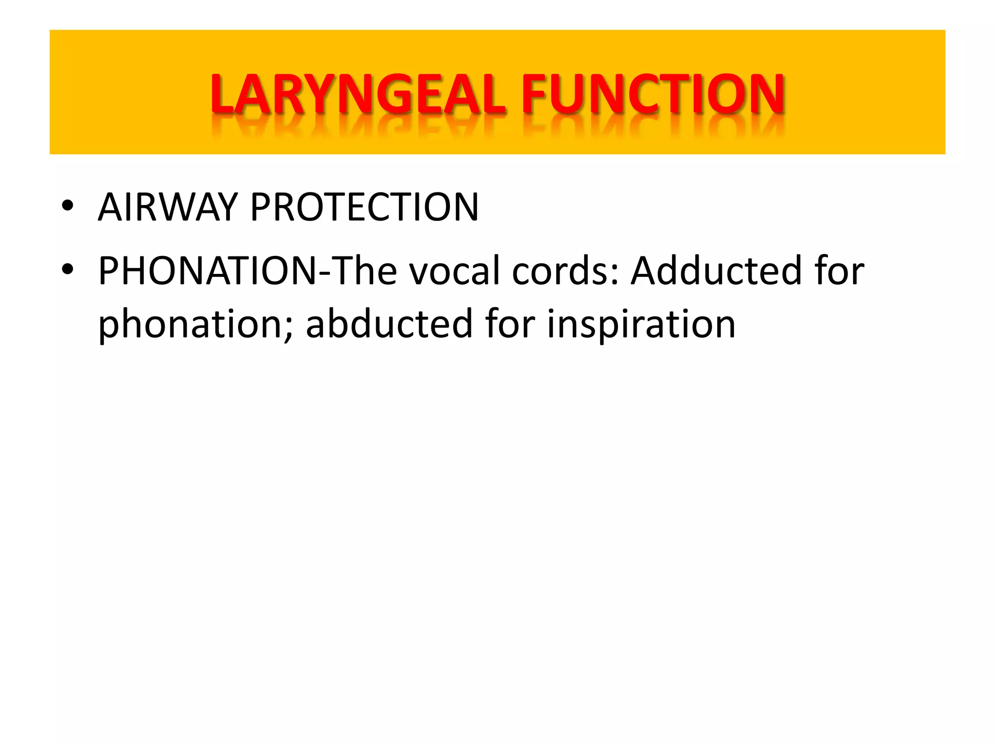 Airway anatomy its assessment and anaesthetic implication | PPTX