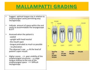 Airway anatomy its assessment and anaesthetic implication | PPTX