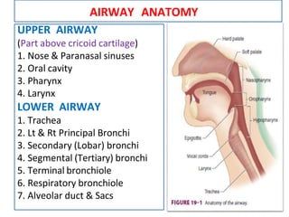 airwayanatomy-ramprasad-160830143137.pptx