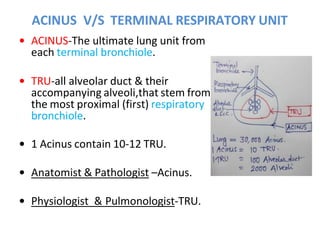 airwayanatomy-ramprasad-160830143137.pptx