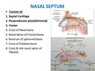 airwayanatomy-ramprasad-160830143137.pptx