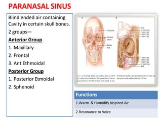 airwayanatomy-ramprasad-160830143137.pptx