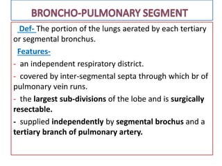 Airway anatomy | PPTX