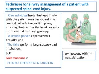 Airway anatomy | PPTX