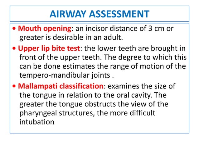 Airway anatomy
