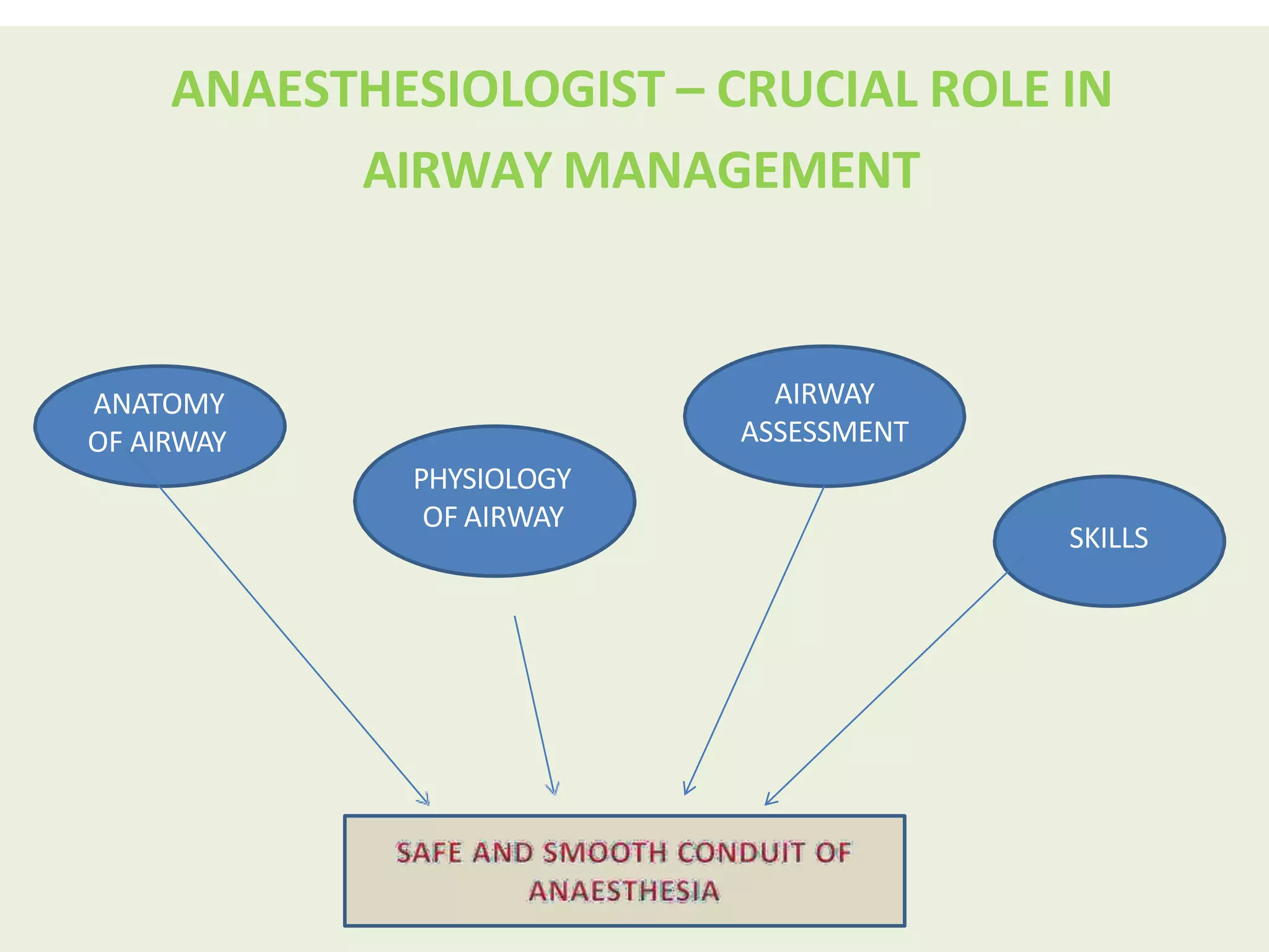 airway anatomy 1.pptx