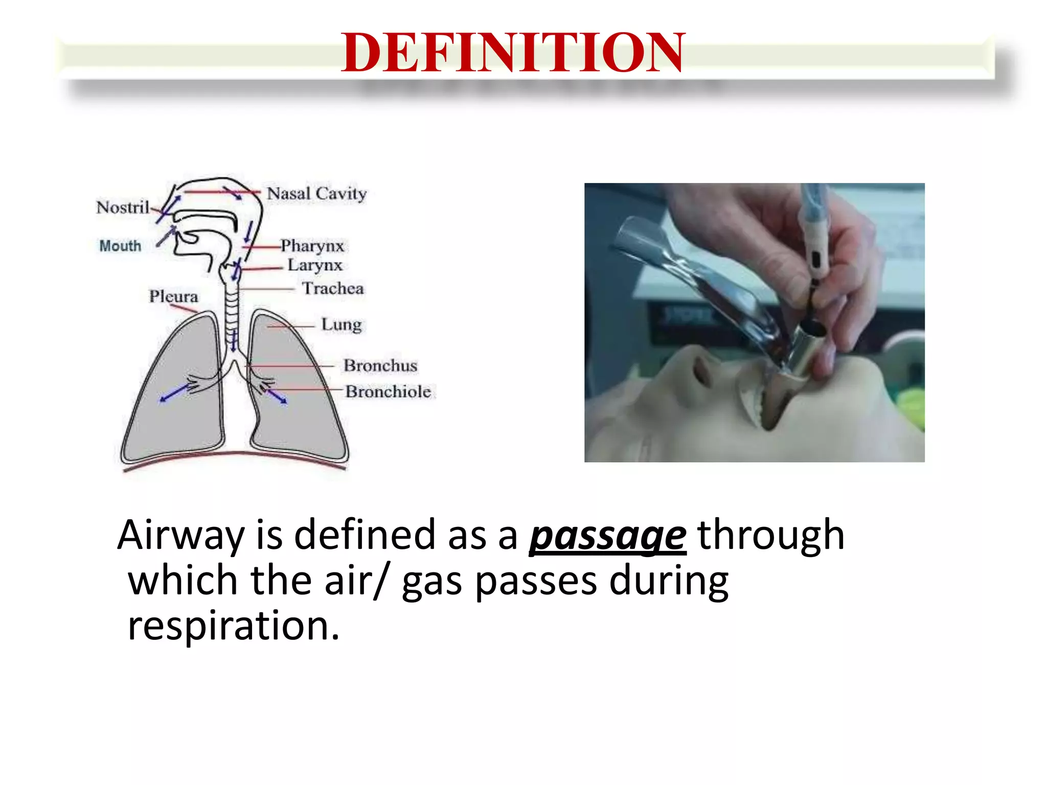 airway anatomy 1.pptx