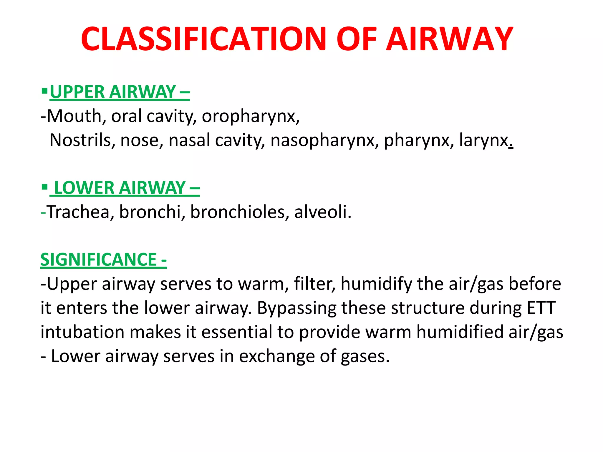 airway anatomy 1.pptx