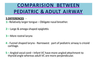 airway anatomy 1.pptx