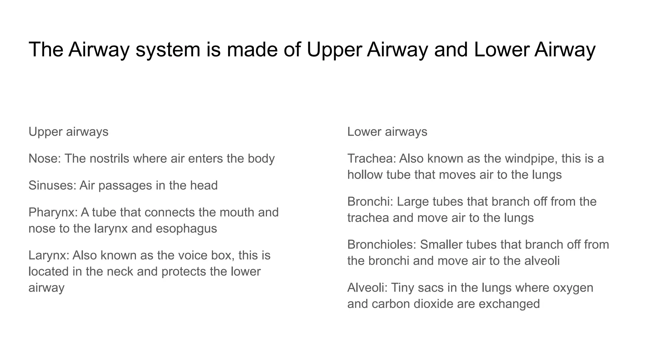 Airway Anatomy, assessment and Difficult Airway.pptx
