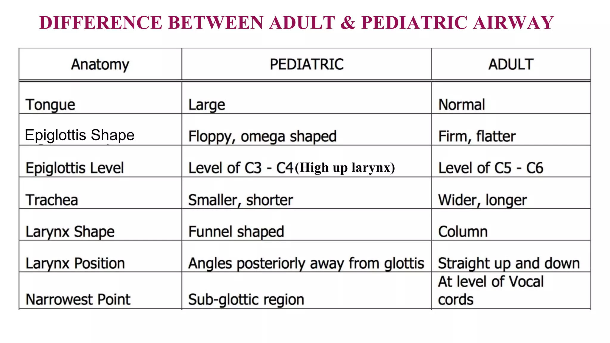 Airway Anatomy & Evaluation PPT.pptx