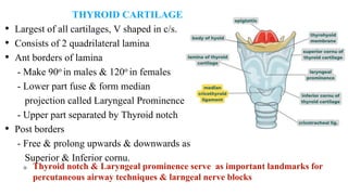 Airway Anatomy & Evaluation PPT.pptx