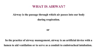 Airway Anatomy & Evaluation PPT.pptx