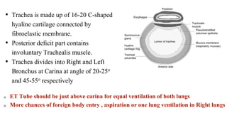 Airway Anatomy & Evaluation PPT.pptx