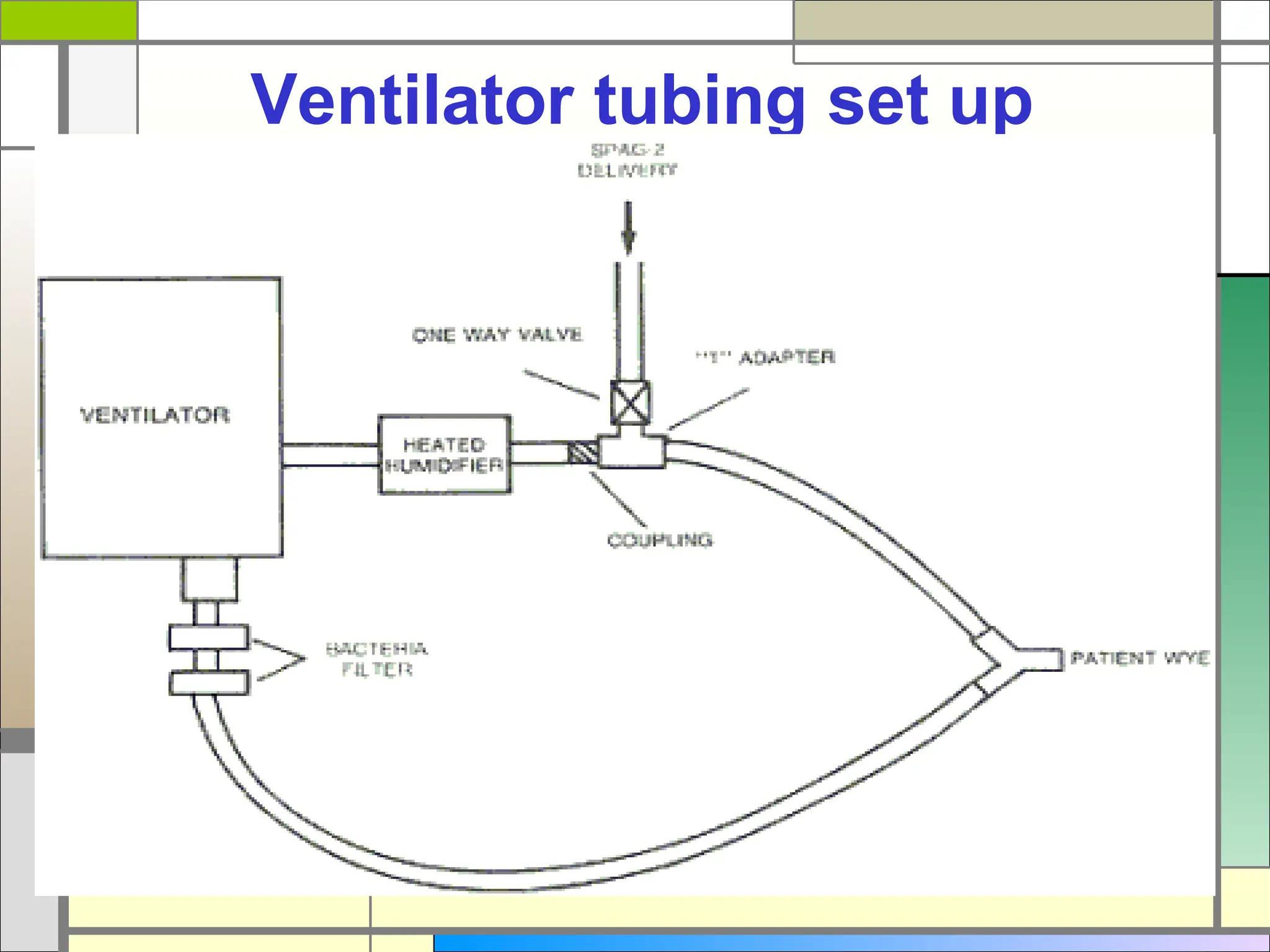 airway and ventilation for nursing ppt.pptx