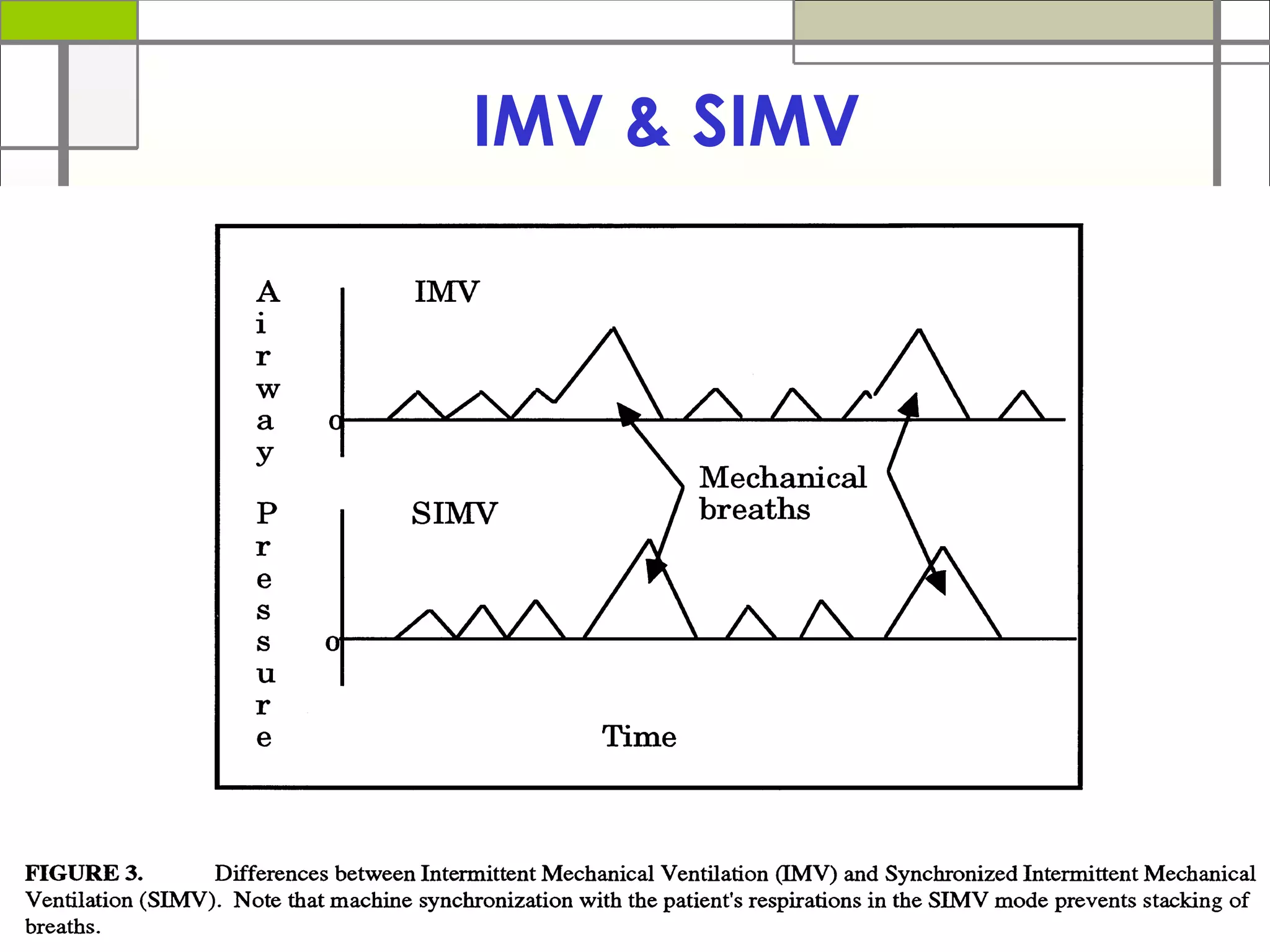 Airway and ventilation management | PPT