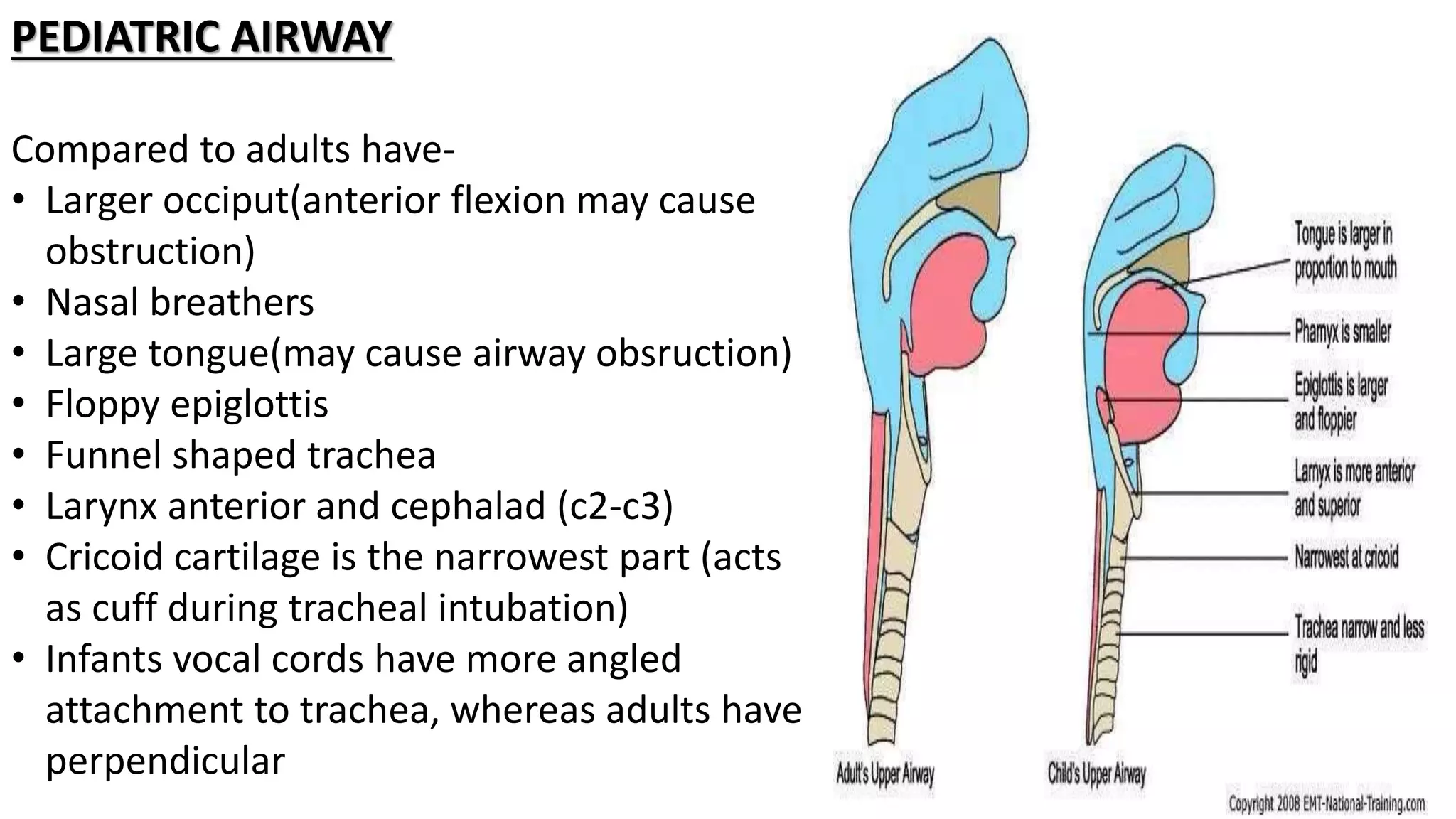 Airway assesment IN ANESTHESIA | PPTX