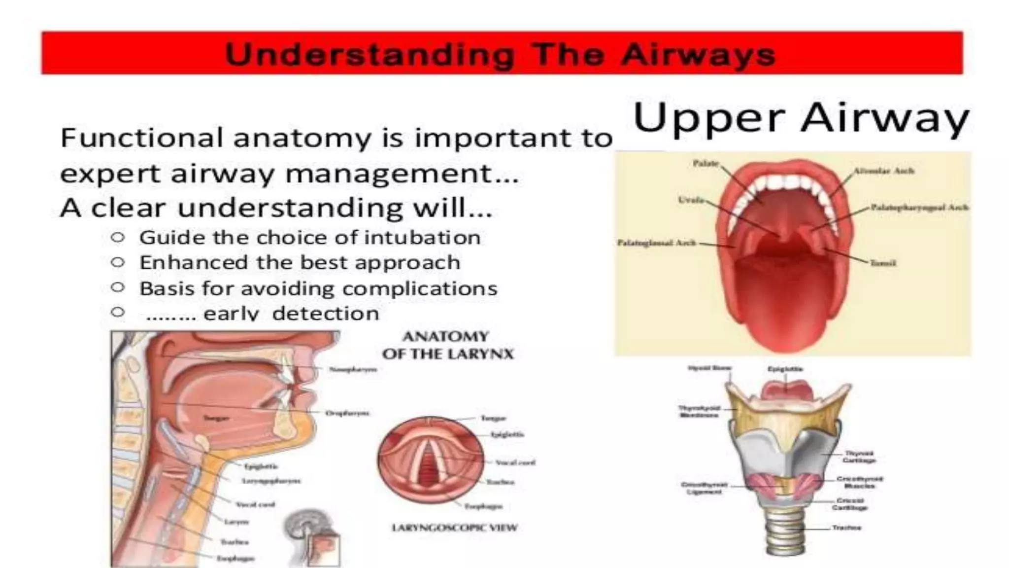 Airway assesment IN ANESTHESIA | PPTX