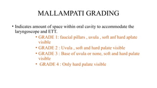 airway assesment.pptx airway and assessment | PPTX